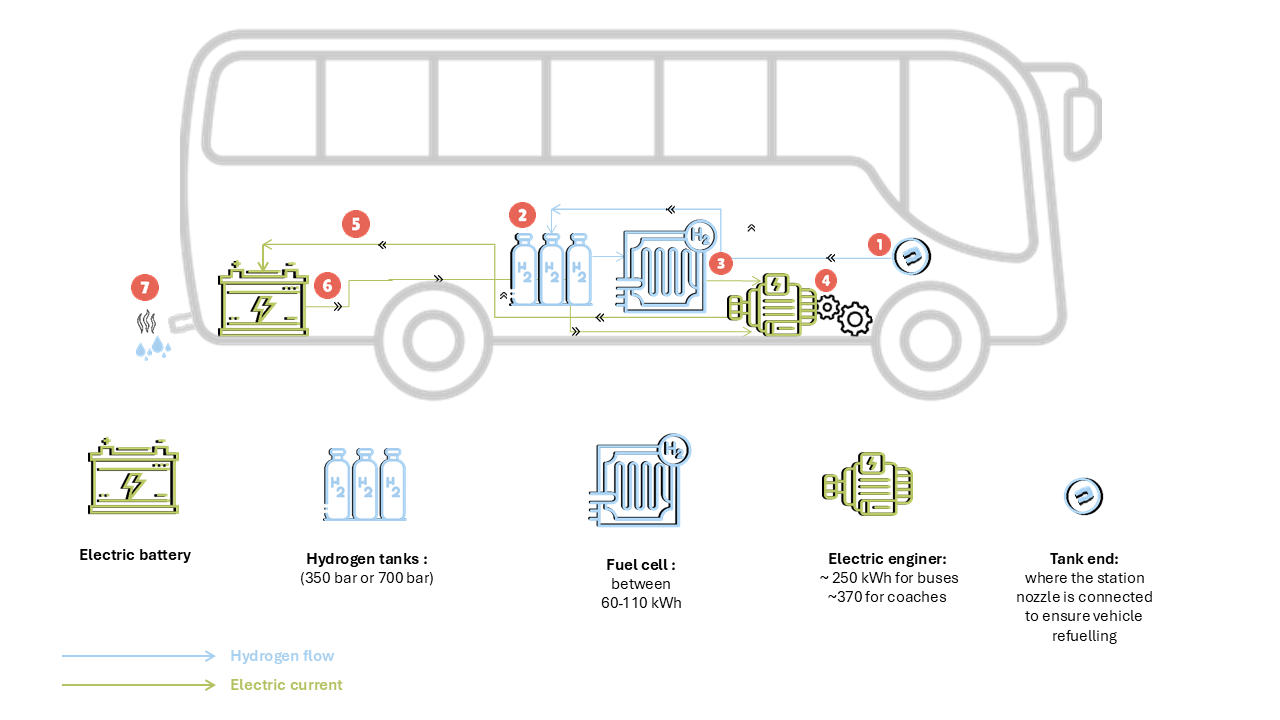 Hydrogen buses: An eco-friendly solution for the cities of tomorrow