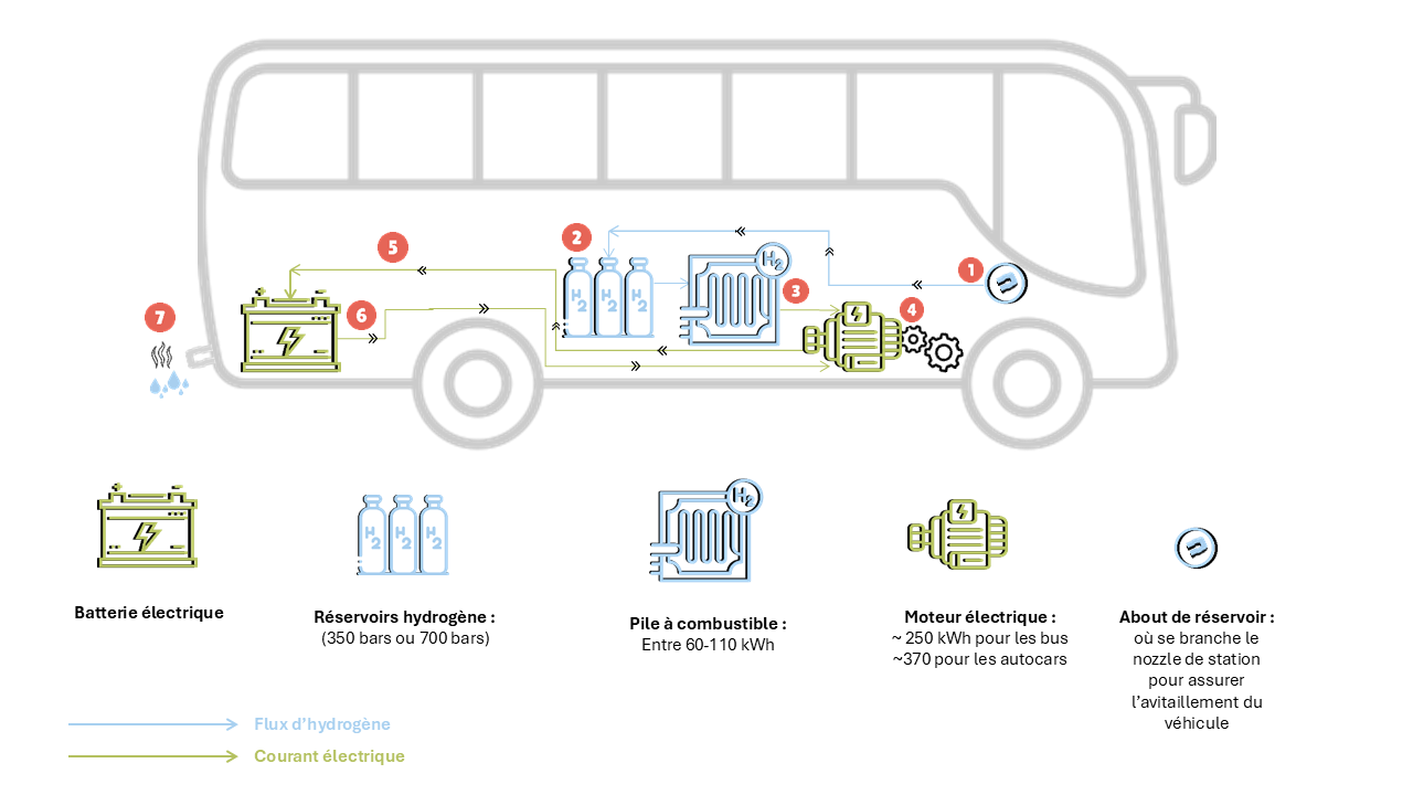 Les bus à hydrogène : Une solution écologique pour les villes de demain